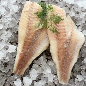 Kalat | Suomen Kala-auto Oy